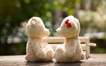 Stuffed Animal Pfp