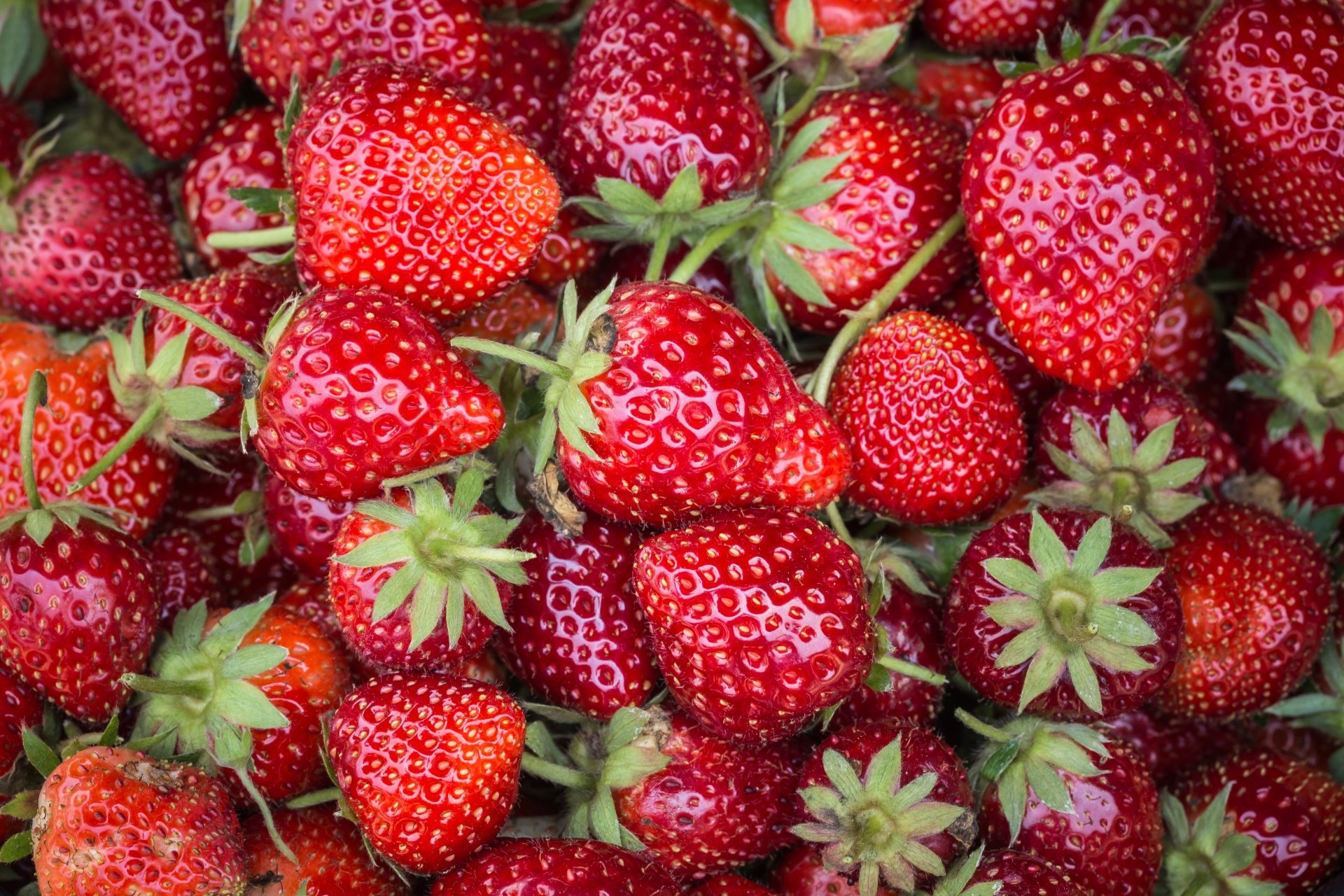 Strawberry 4k Ultra HD Wallpaper