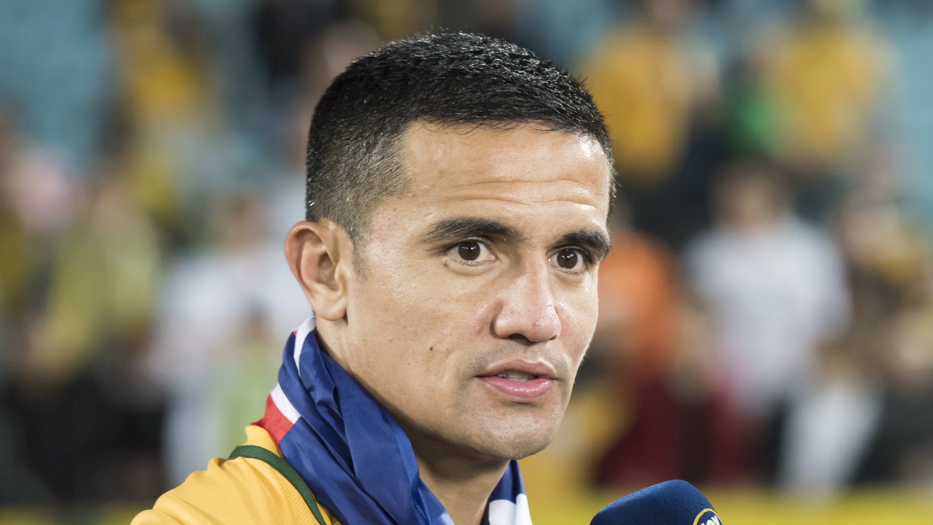 Sports Tim Cahill 4k Ultra HD Wallpaper