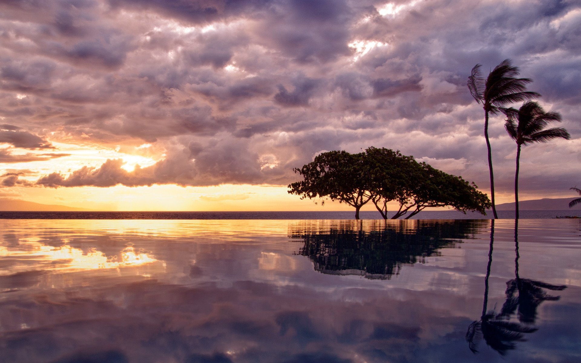 Cloudlit Tropical Horizon — Palm Reflections on Glassy Sea (HD ...