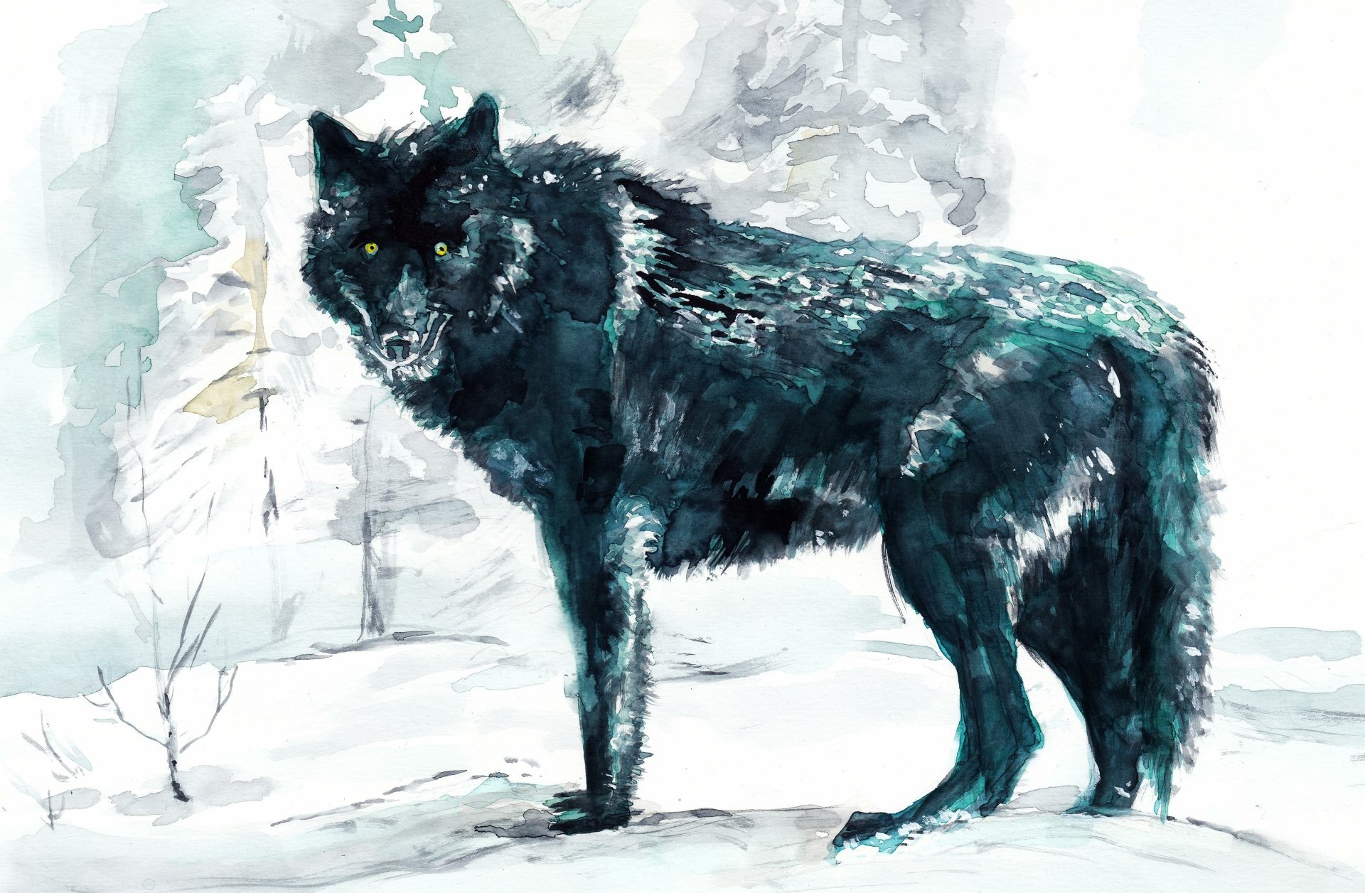 4K Ultra HD Wolf Majesty in the Winter Wilds | 4168x2727 | Wallpaper Abyss