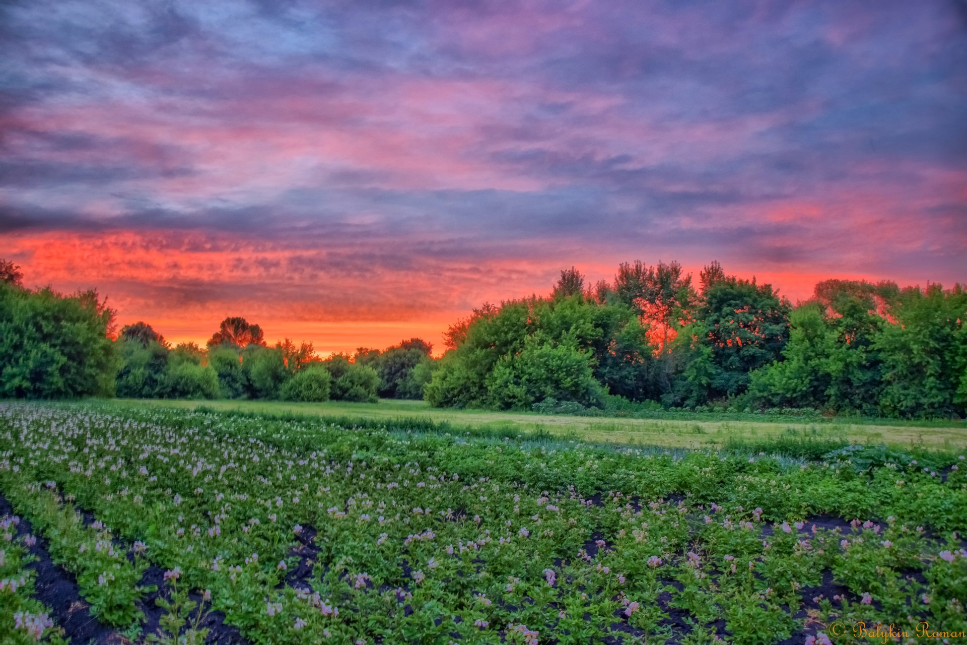 4K HDR Sunset Bliss: Vibrant Nature's Evening Canvas by Vergilius ...