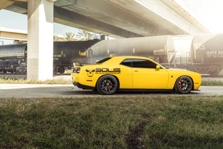 Dodge Challenger - Desktop Wallpapers, Phone Wallpaper, PFP, Gifs, and ...