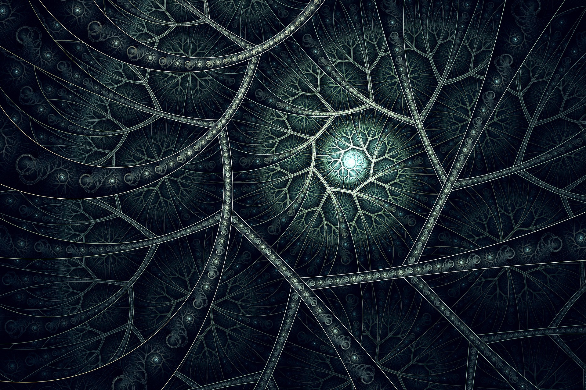 Spider Web Fractal Wallpaper 1920x1080