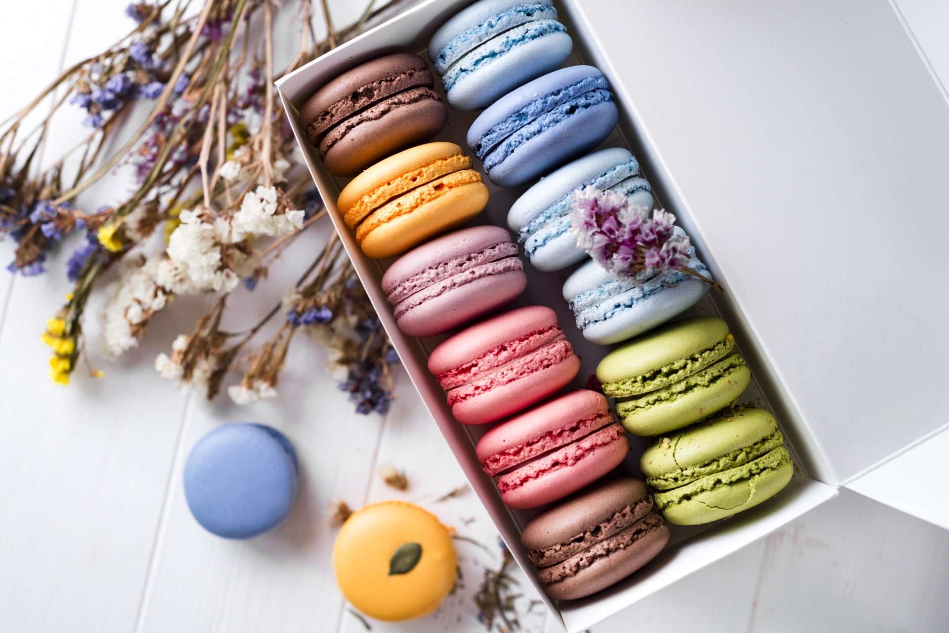 Download Still Life Sweets Food Macaron 4k Ultra HD Wallpaper